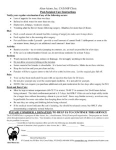 Post Surgery Care Instructions 2026 – Alter-Ations Inc.